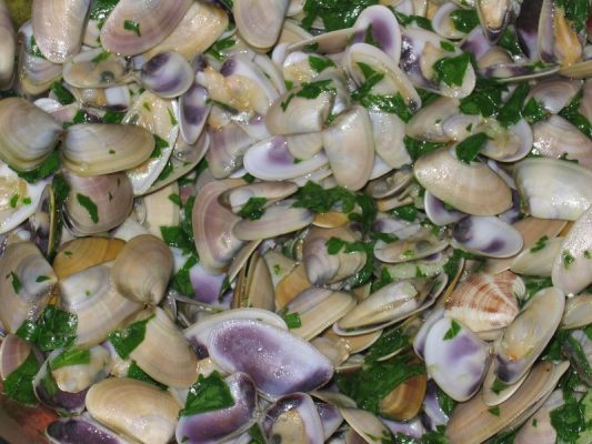 Tellines – AnnikaPanika